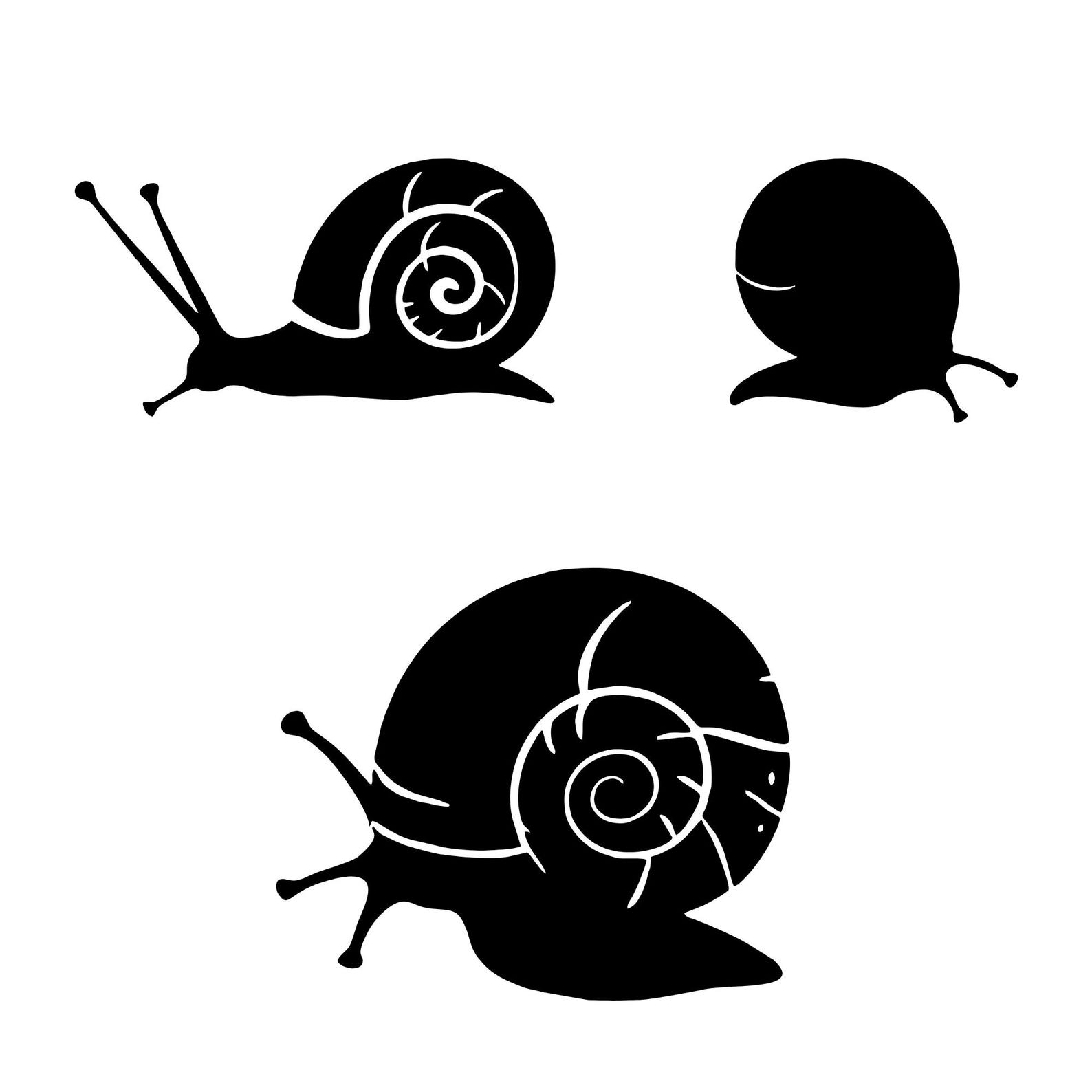 Snail Svg Bundle, Snail Clipart, Snail Vector, Snail Decal, Snail Cut ...