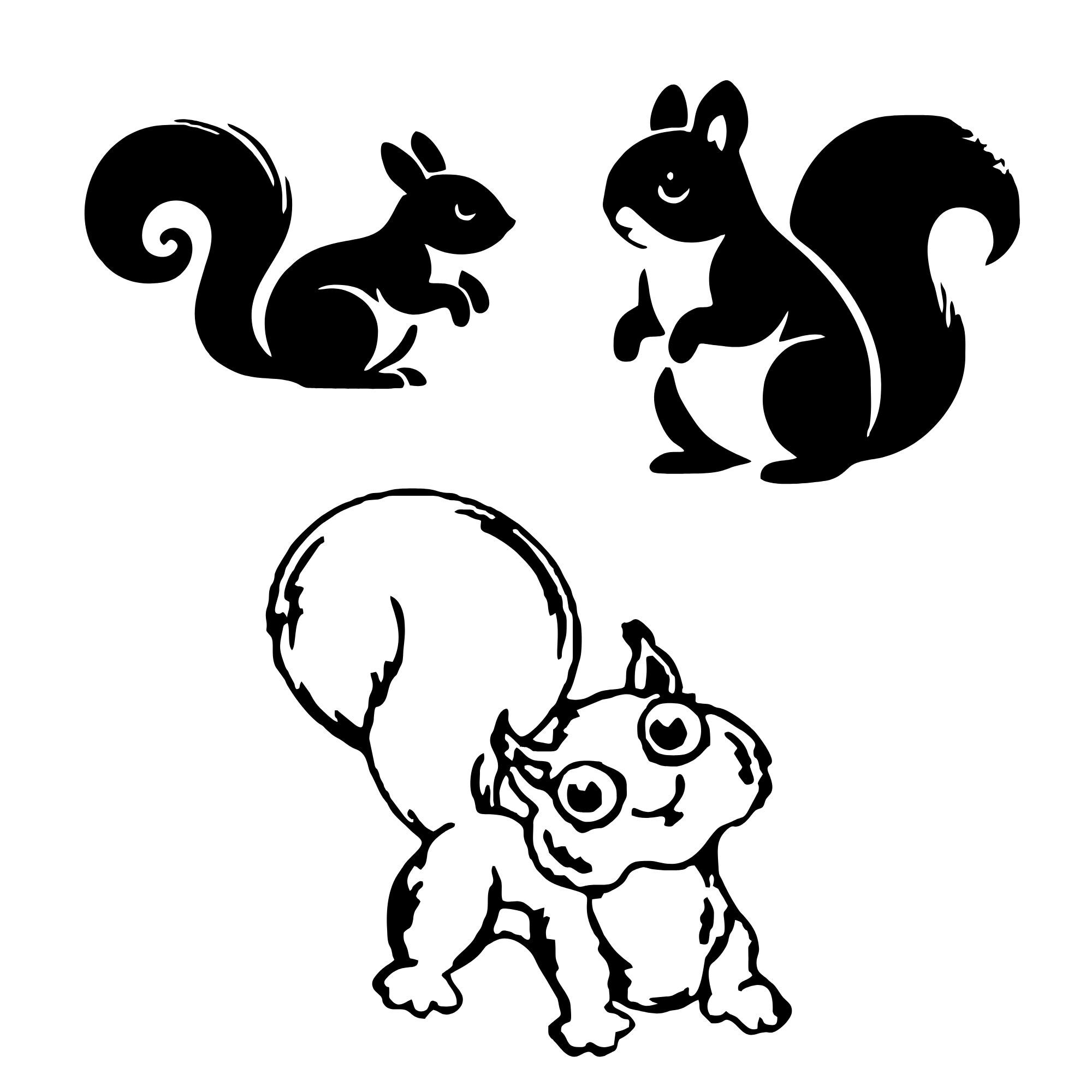 Squirrel Svg Bundle, Squirrel Clipart, Cute Peeking Squirrel Vector ...