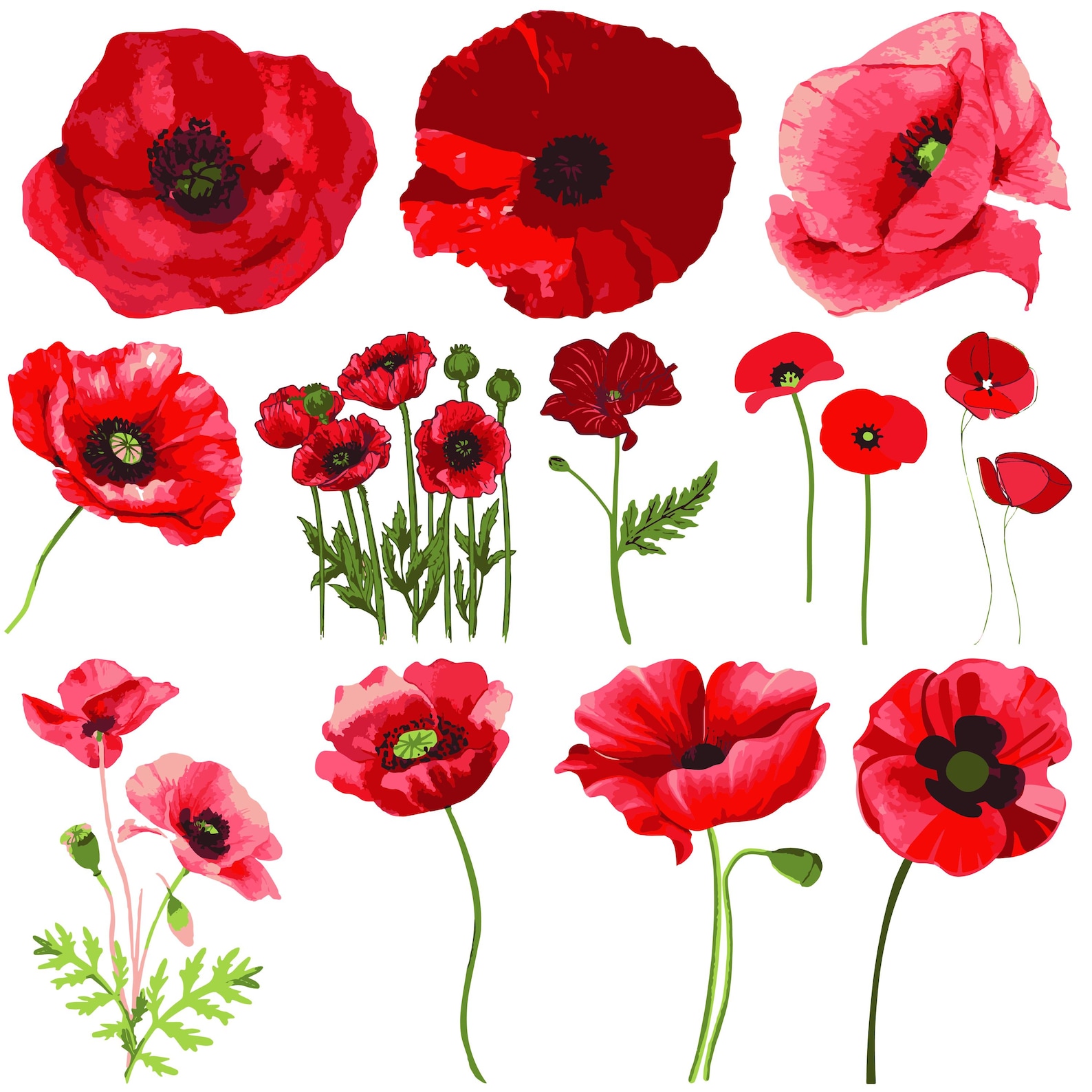 Poppy Svg Bundle, Poppy Cut File, Poppy Flower Svg, Wildflower Svg ...