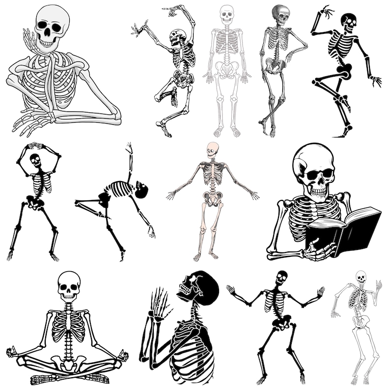 Skeleton Svg Bundle, Skeleton Cut Files for Cricut, Skeleton Clipart ...