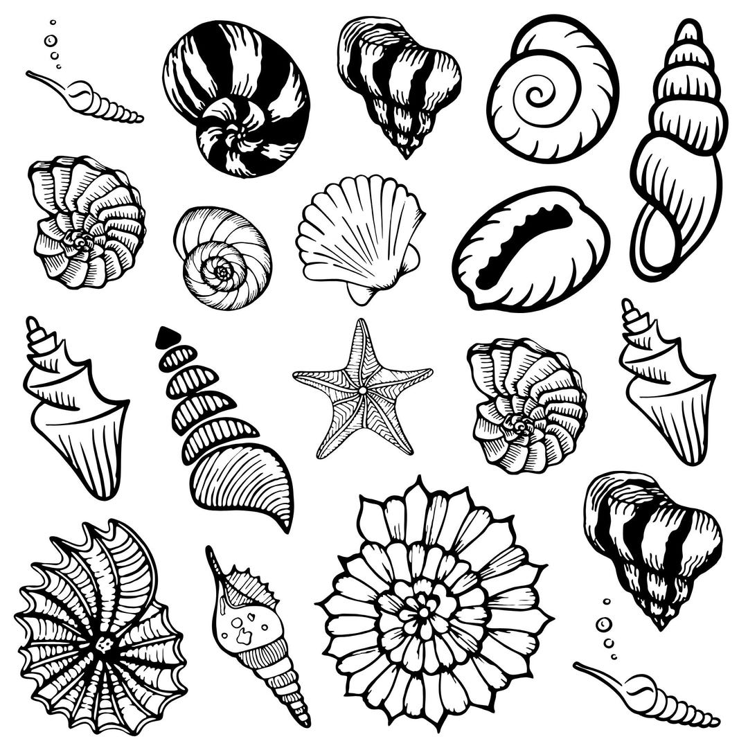 Seashell Svg Bundle, Seashell Clipart, Sea World Vector, Pastel ...