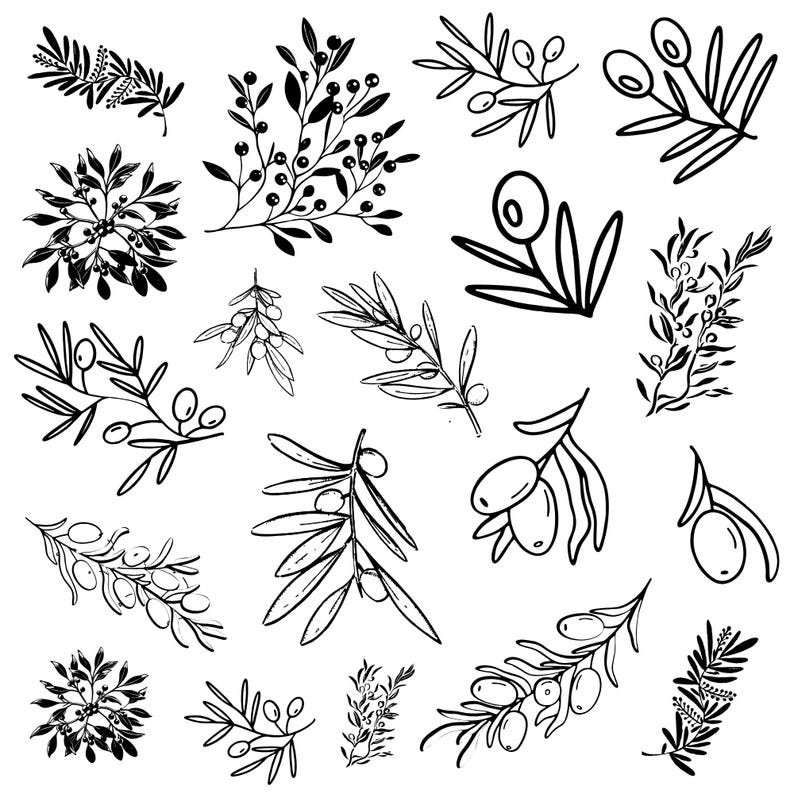 Olive Branch Svg Bundle, Olive Leaves Clipart, Olive Vector, Olive ...