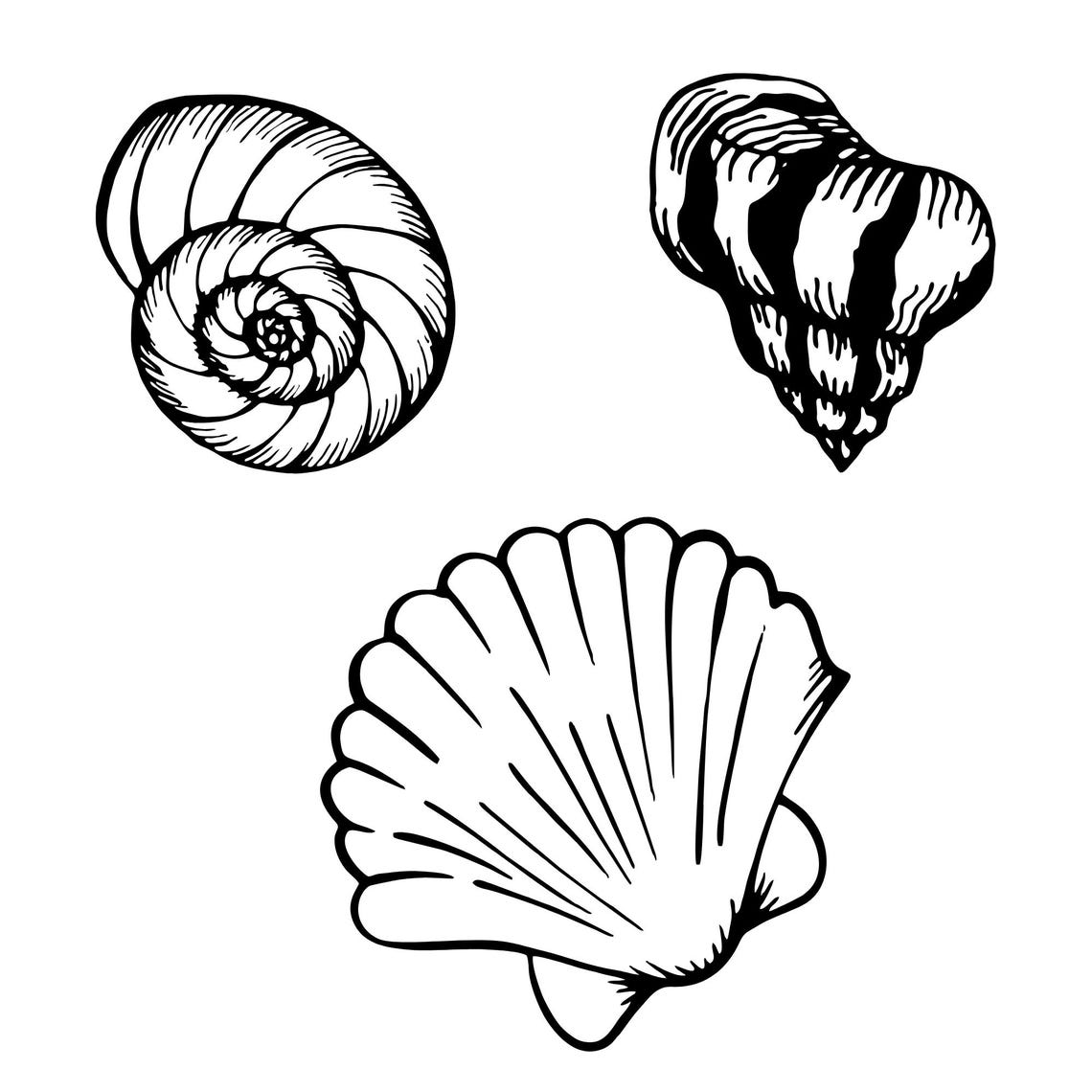Seashell Svg Bundle, Seashell Clipart, Sea World Vector, Pastel ...