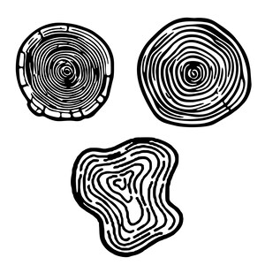 Wood Slice SVG Bundle, Tree Rings Svg, Wood Slice Dxf, Wood Slice Png ...