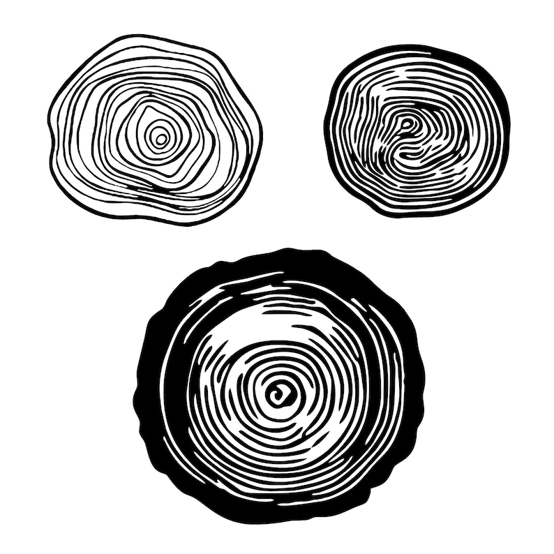 Wood Slice SVG Bundle, Tree Rings Svg, Wood Slice Dxf, Wood Slice Png ...
