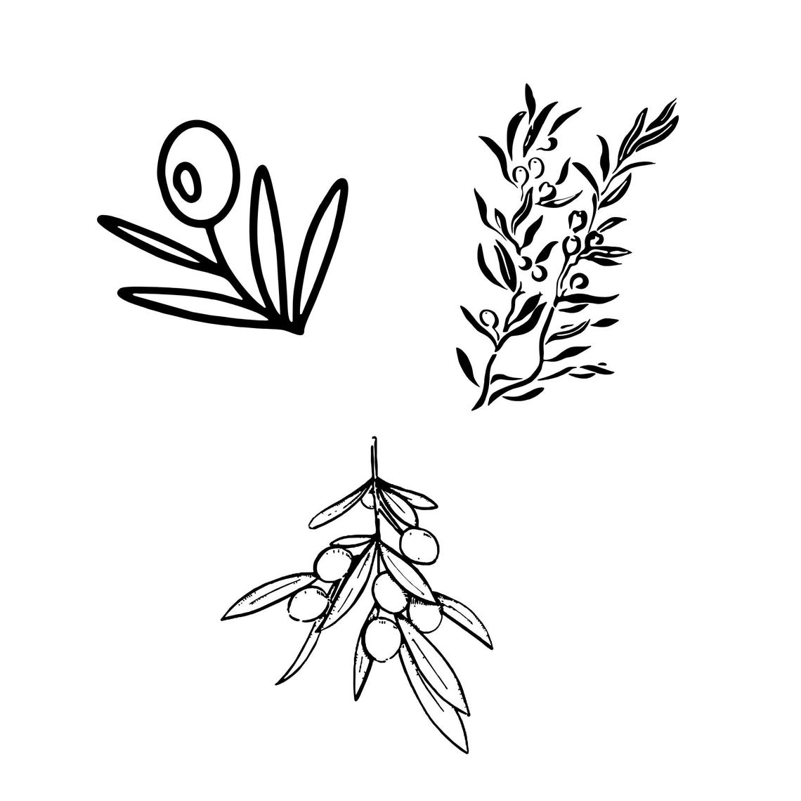 Olive Branch Svg Bundle, Olive Leaves Clipart, Olive Vector, Olive ...