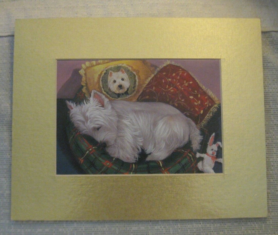 White West Highland Terrier Dog Matted Print - so Cute!! - 8" X 10 ...