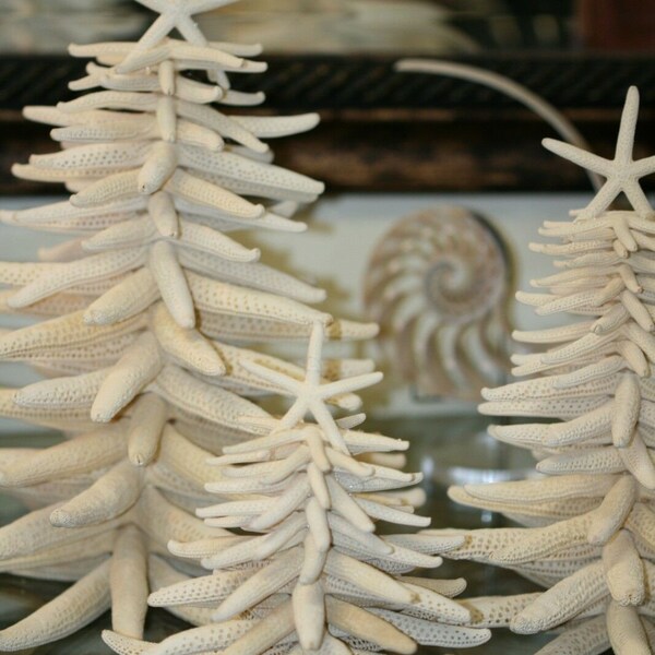 Starfish Tree - Etsy
