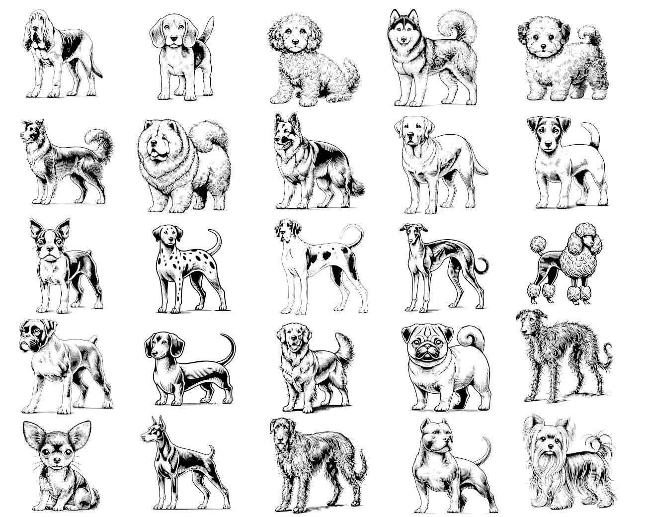 Dog Breeds SVG Bundle Pet Breed SVG for Cricut Dog Clipart SVG for Dog ...