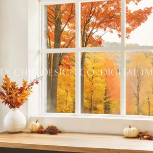 Zoom Background, Fall Office Background for Meetings, Autumn Foliage ...