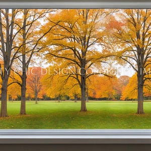 Fall Foliage Zoom Background, Background for Meetings, Virtual Office ...