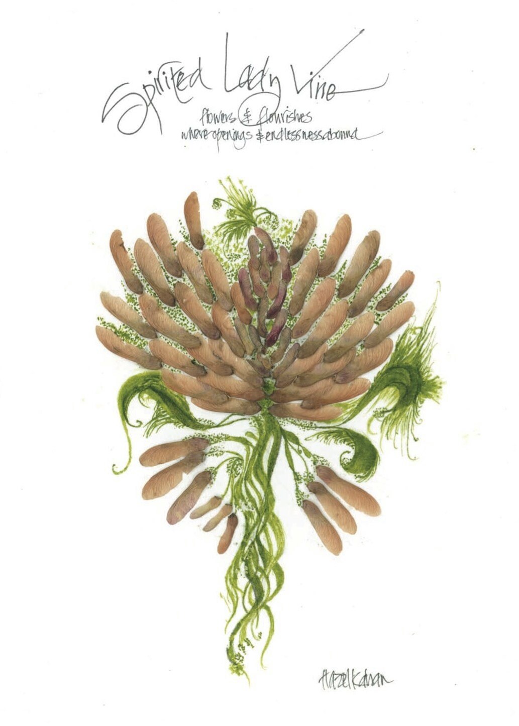 Flora Exuberantis--botanical Style Print With Calligraphy and ...