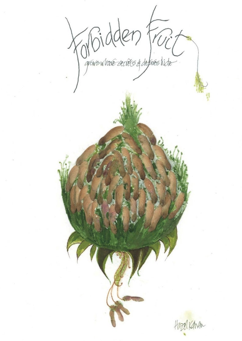 Flora Exuberantis--botanical Style Print With Calligraphy and ...