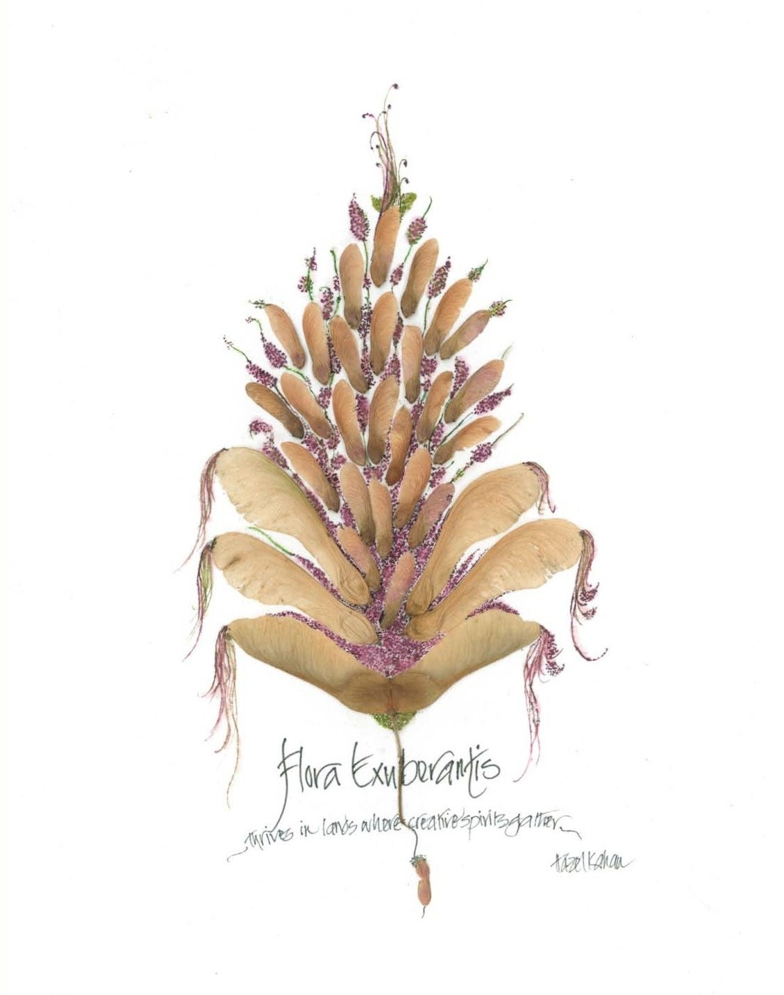 Flora Exuberantis--botanical Style Print With Calligraphy and ...