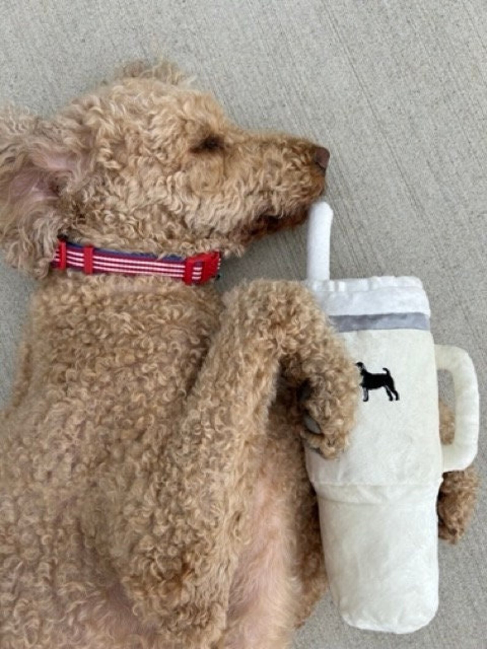 Dabuddy Cup- Stanley Plush Dog Toy-pet Accessories- Double Lined ...