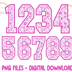 Pink Chinoiserie Alphabet PNG, Chinoiserie Varsity Png, Pink Varsity ...