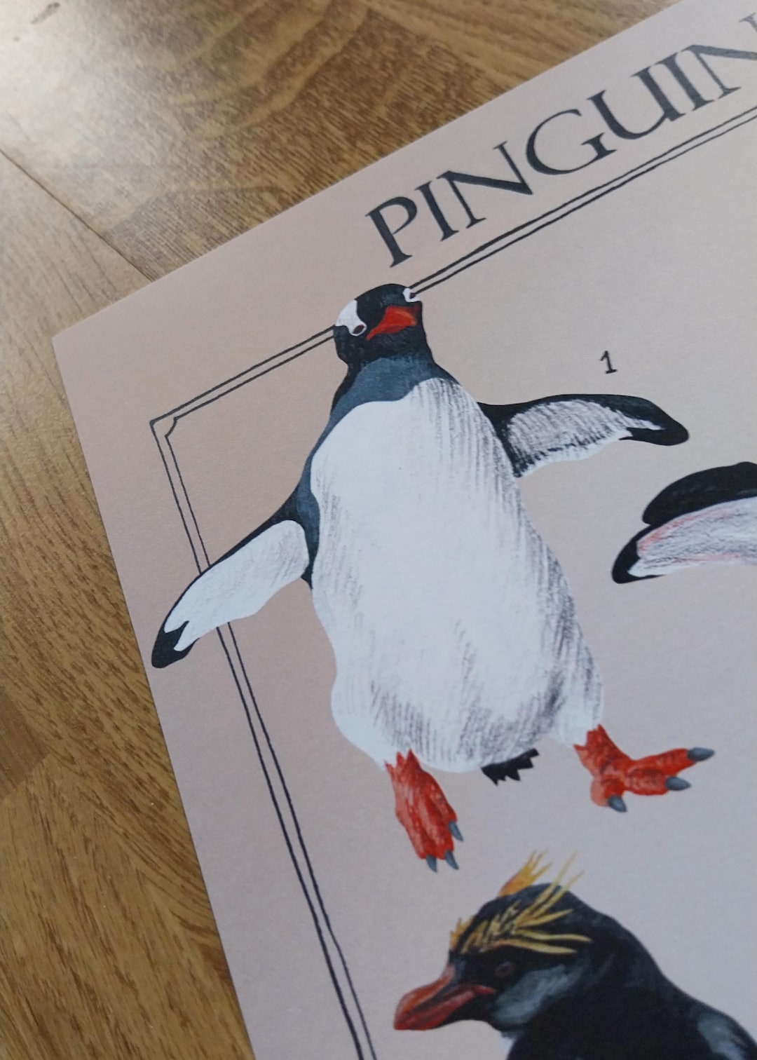 Pengwings (poster; 29,7*42cm) - Etsy