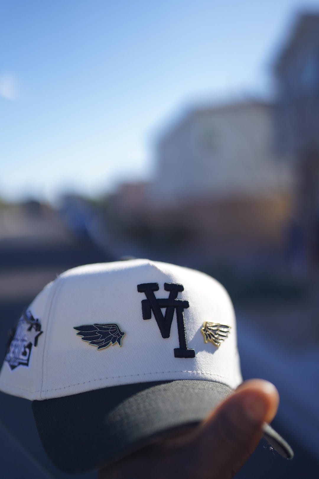 Black Wing (magnetic) Hat Pins - Etsy