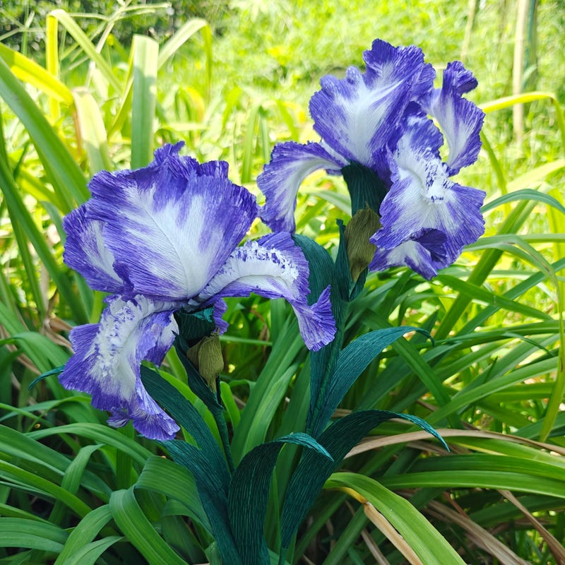 Crepe Paper Flowers - Etsy