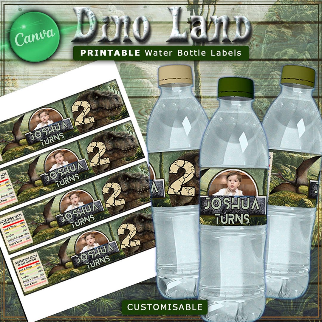 Dinosaurs Printable Bottle Labels, Dinosaurs Canva Editable Bottle ...