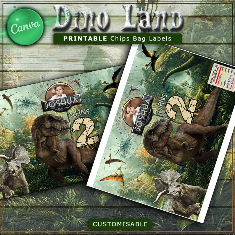 Dinosaurs Printable Chips Bag Labels, Dinosaurs Canva Editable Chips ...