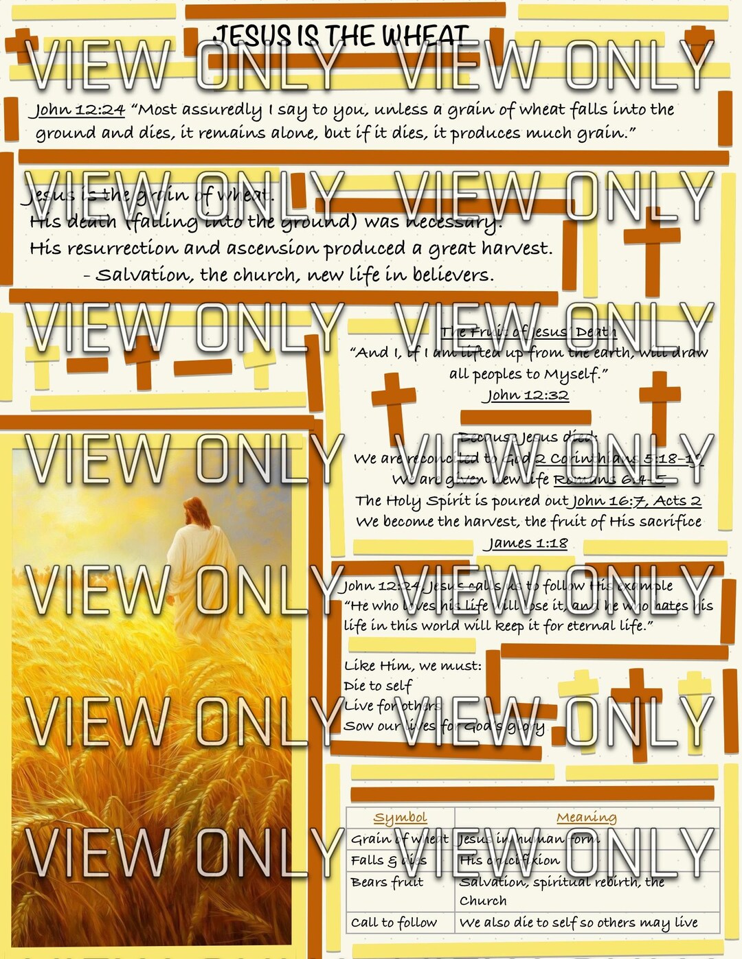 Jesus is the Wheat Bible Study Guide | Printable Christian Worksheet ...