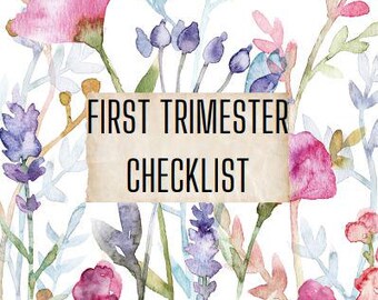 Digital Pregnancy Trimester Checklist - Etsy