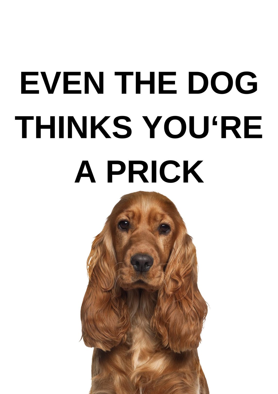 The Dog Thinks You Are a ..... Rude Poster Print A3/A4 - Etsy