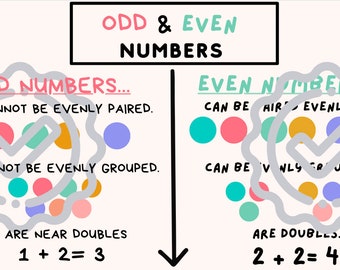 Even & Odd Numbers Printable Anchor Chart Templates, Even Steven, Odd ...