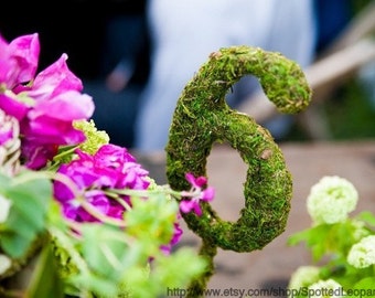 Moss Numbers | Etsy