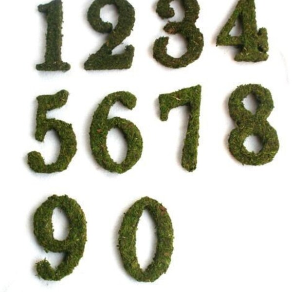 Moss Table Decor - Etsy