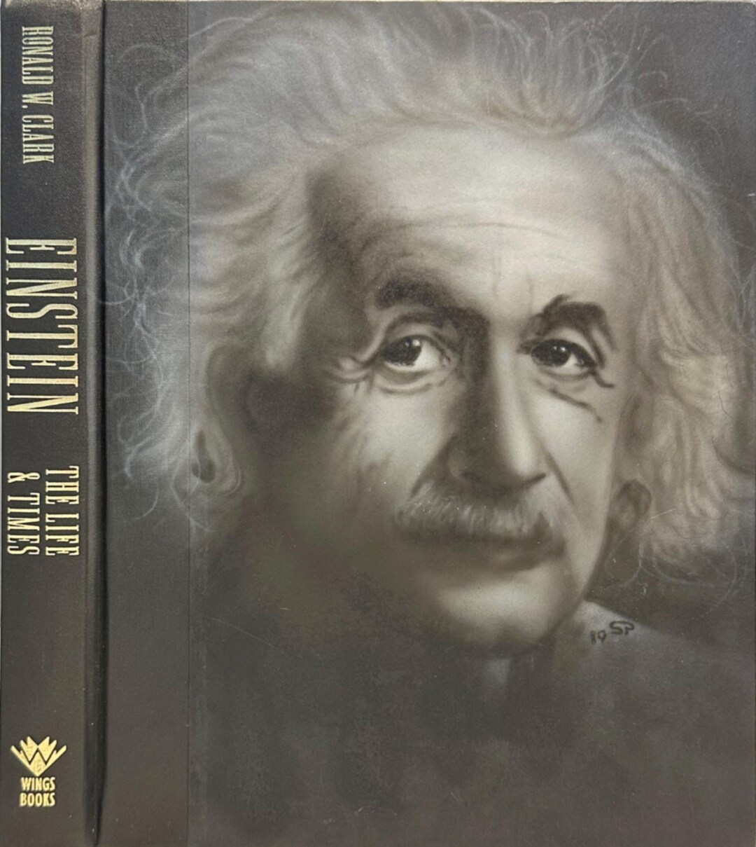 Hand-painted Portrait of Einstein on Einstein: the Life and Times by ...