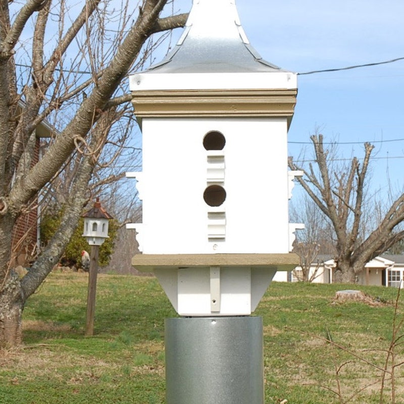 Bird House Predator Guard - Etsy
