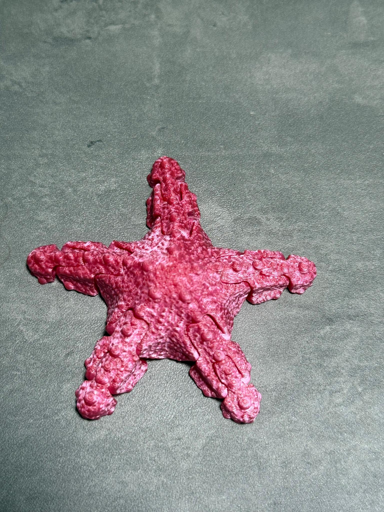 Articulated Fidget Toy 3D Printed Starfish Home Decor Stress Relief - Etsy