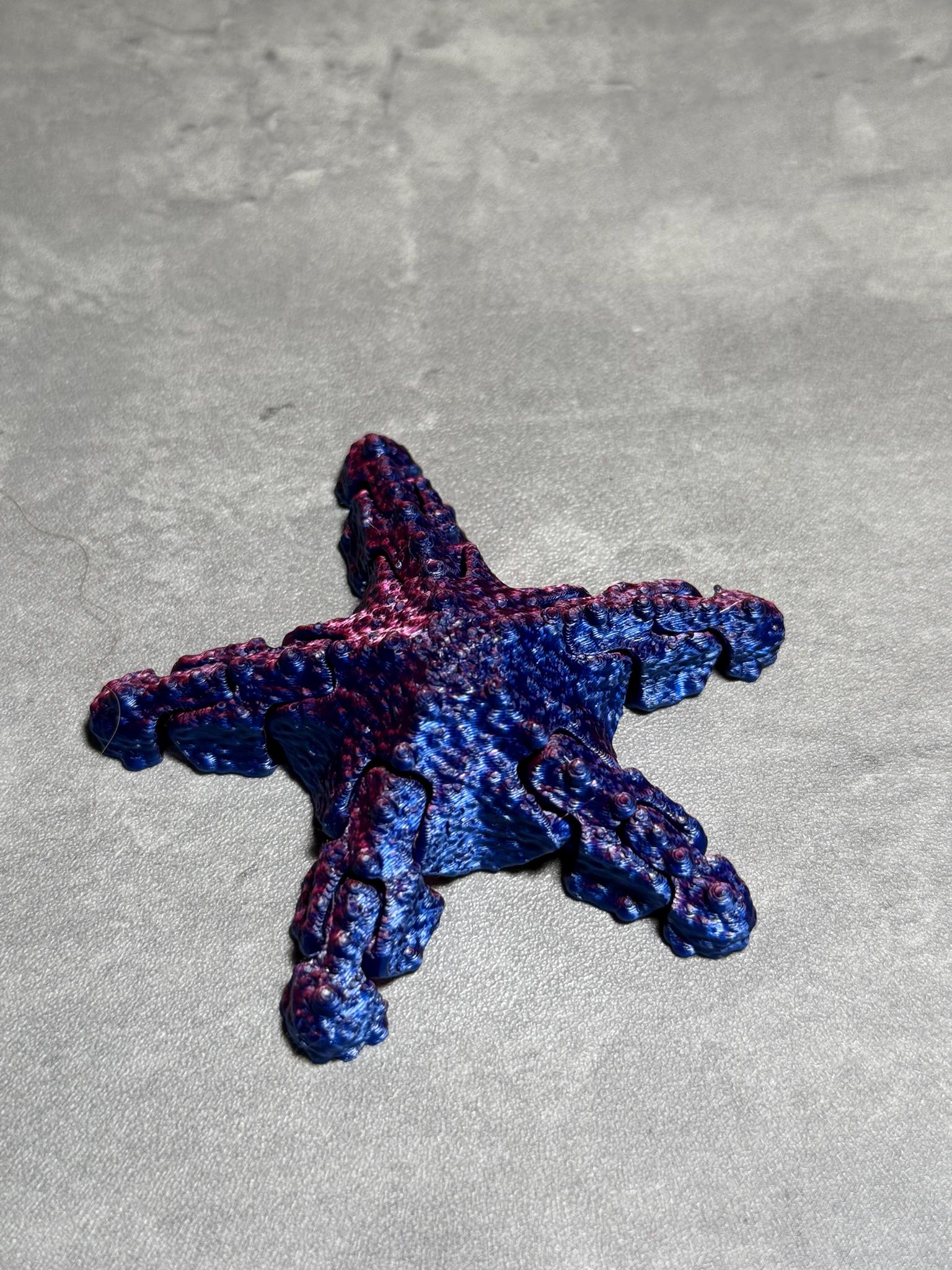 Articulated Fidget Toy 3D Printed Starfish Home Decor Stress Relief - Etsy