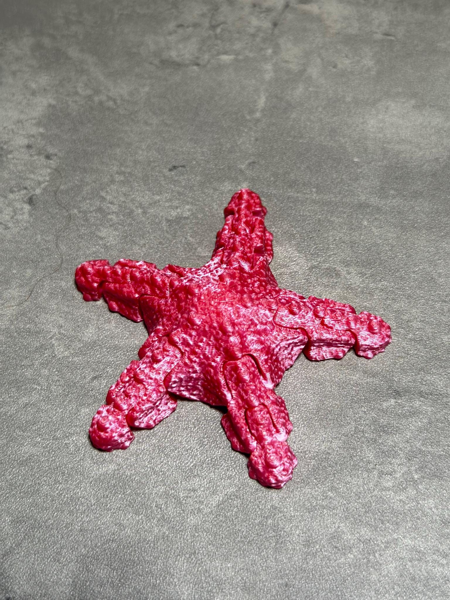 Articulated Fidget Toy 3D Printed Starfish Home Decor Stress Relief - Etsy