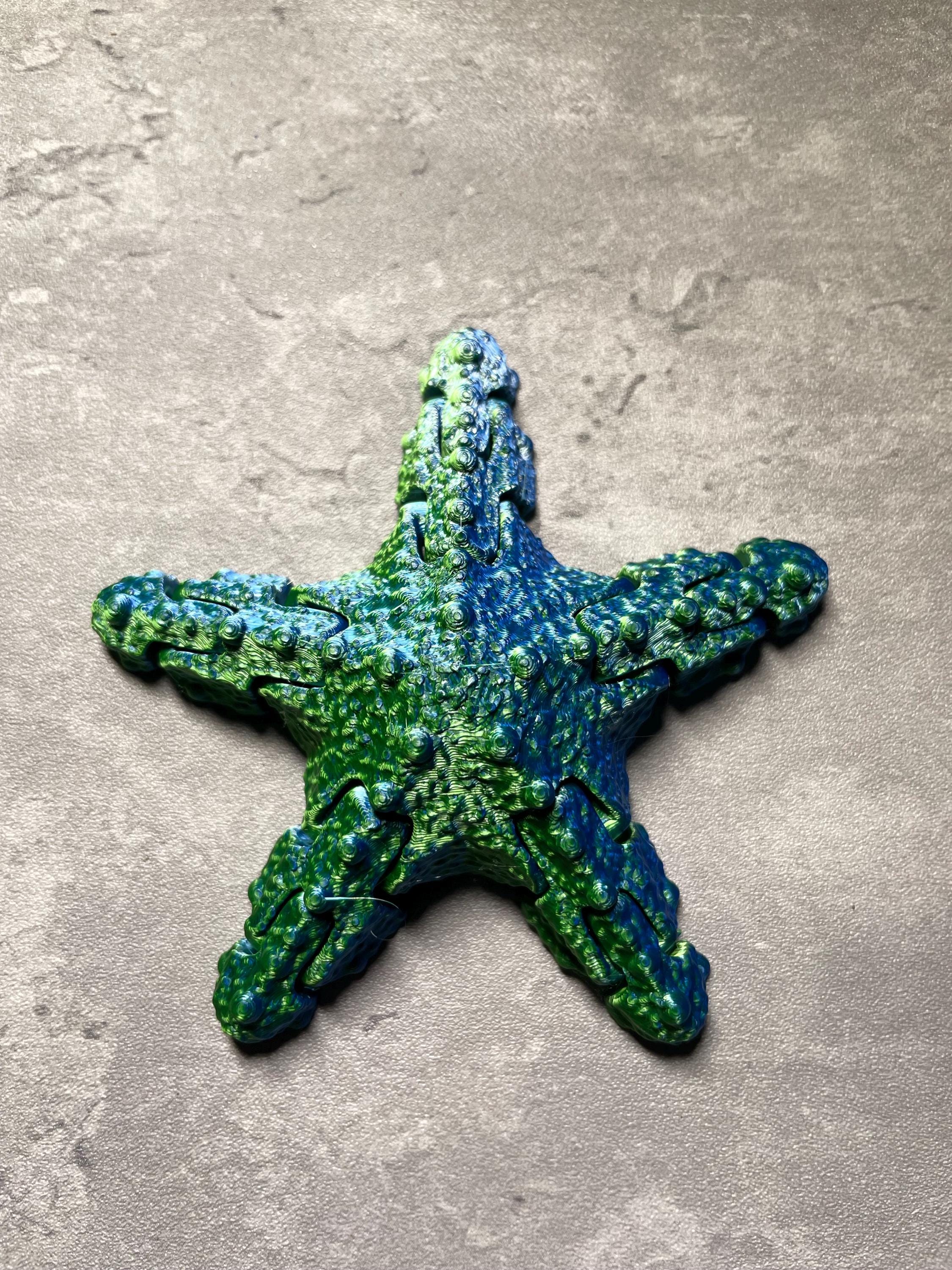 Articulated Fidget Toy 3D Printed Starfish Home Decor Stress Relief - Etsy