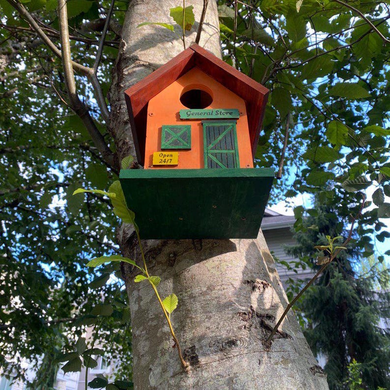 Wooden Birdhouse Kit in "general Store" Design - Etsy