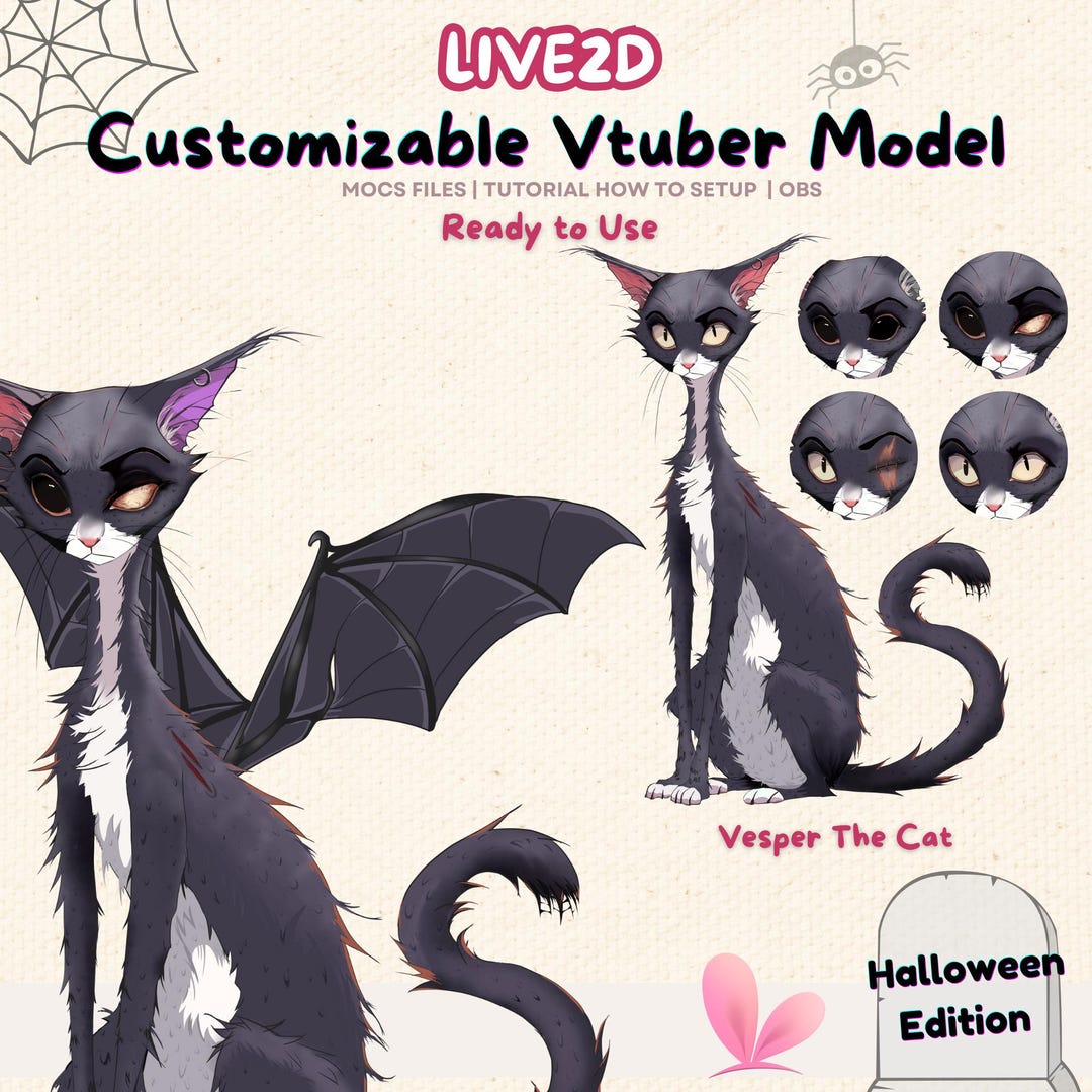 Customizable Vtuber Model Premade, Ready to Use Vtuber Model, Vtuber ...