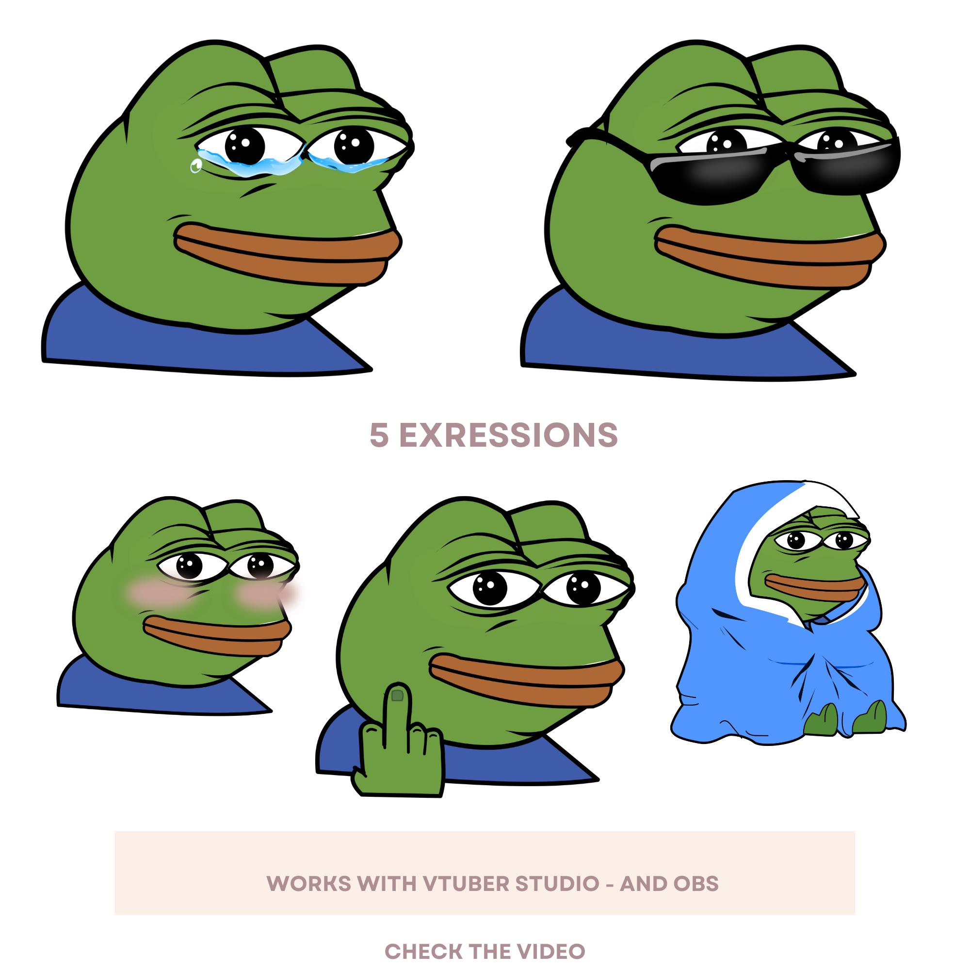 Peepo Meme Vtuber Model Premade, Ready to Use Vtuber Model, Vtuber ...