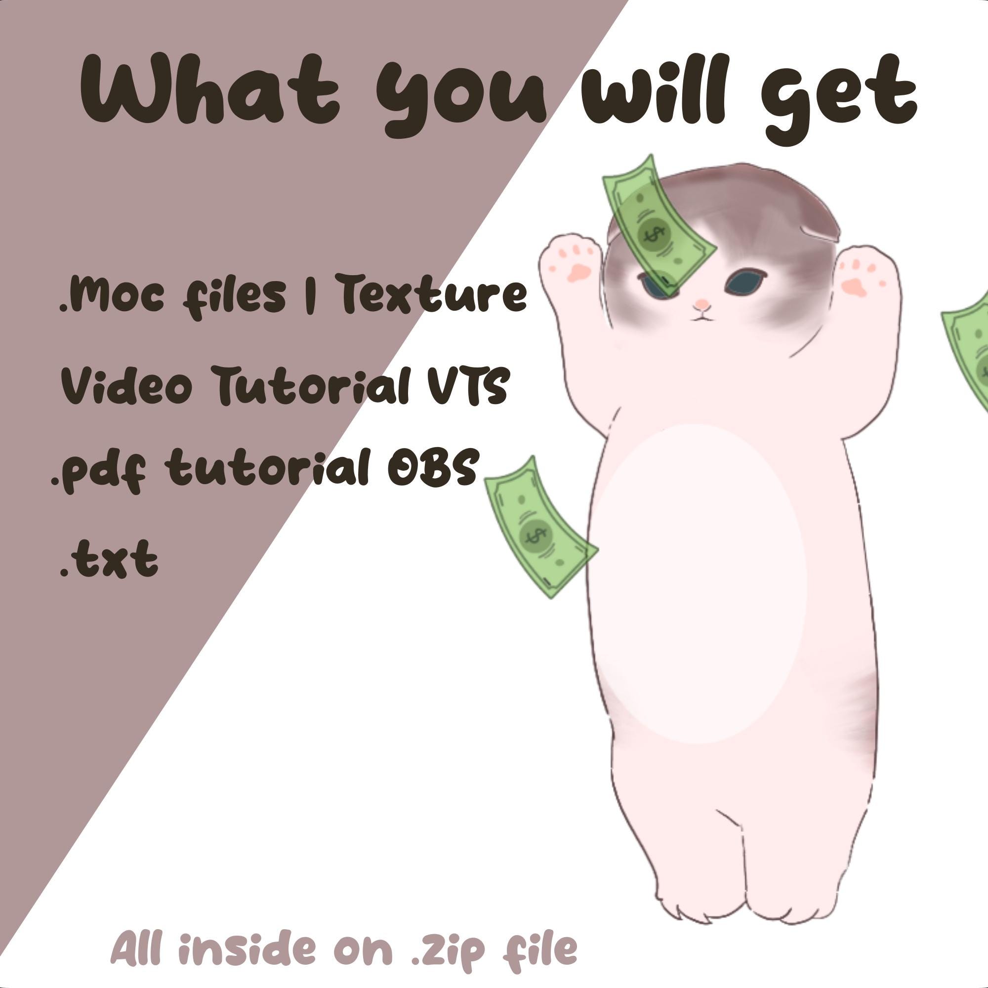 Belly Dance Cat Premade Vtuber Model, Ready to Use Vtuber Model, Vtuber ...