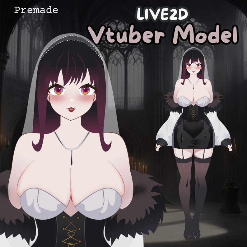 Premade Vtuber Model Full Body, Female Vtuber Model, Ready to Use Vtuber Model, Live2d Model ...