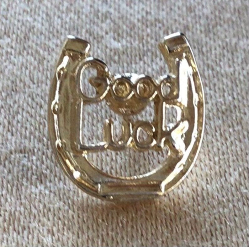 Gold Tone Horseshoe Good Luck Tac Pin Vintage L1 - Etsy