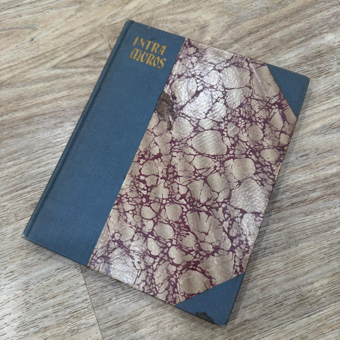 1898 Intra Muros First Edition by Rebecca Ruter Springer Vintage ...