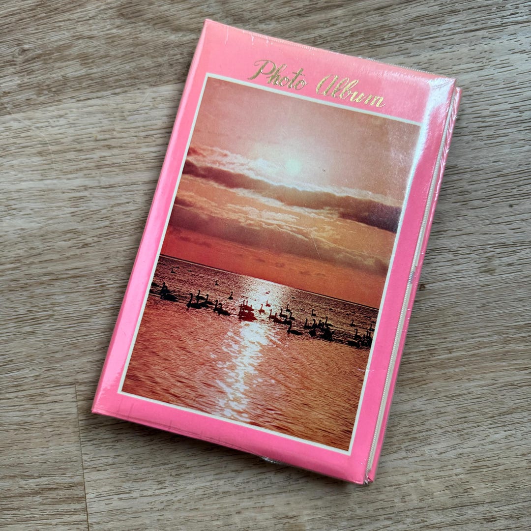 Vintage Pink With Beach Scene Photo Album With 13 Pages for 2x3 Photos ...