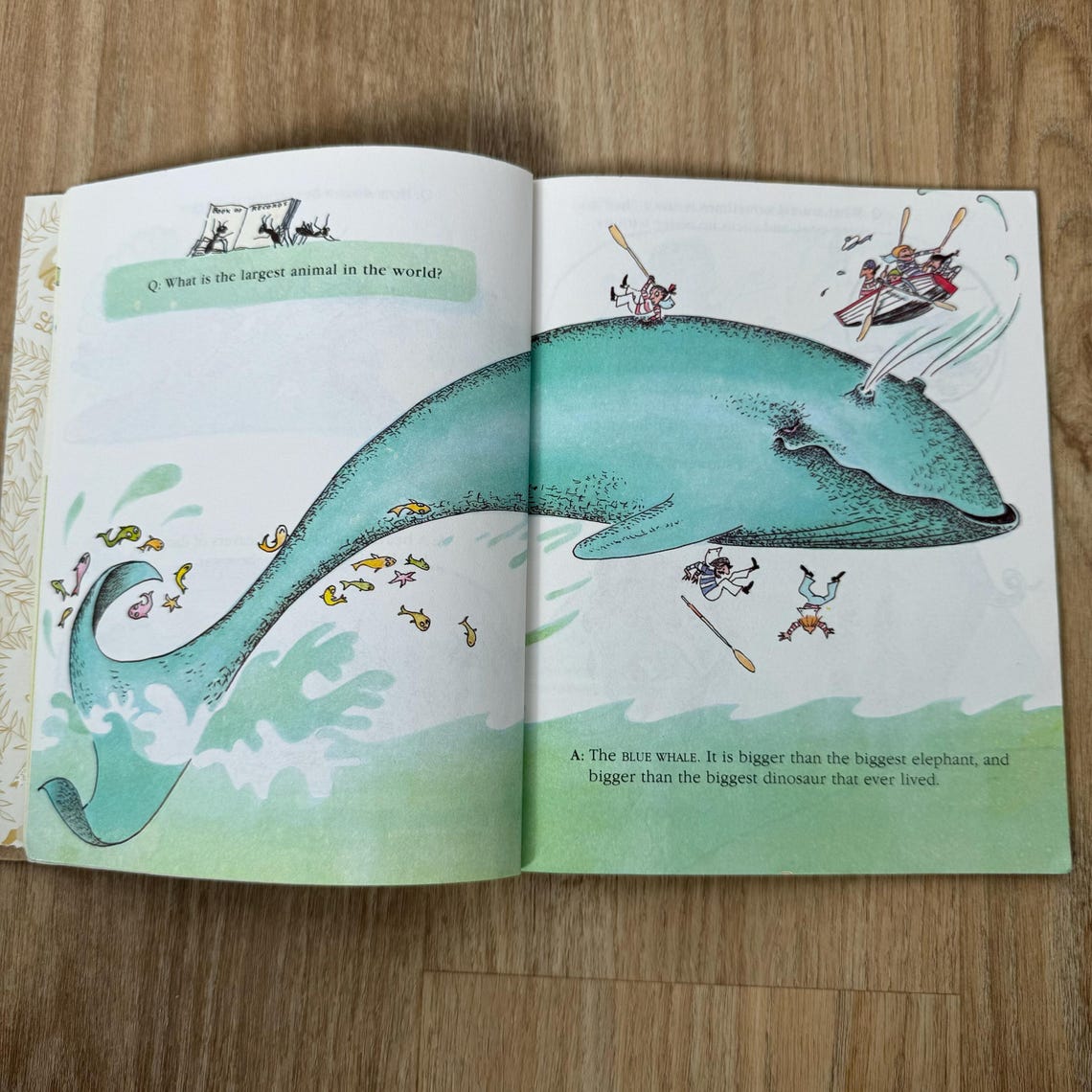 1983 - A Little Golden Book - Animal Quiz Book - Vintage Hardcover Book ...