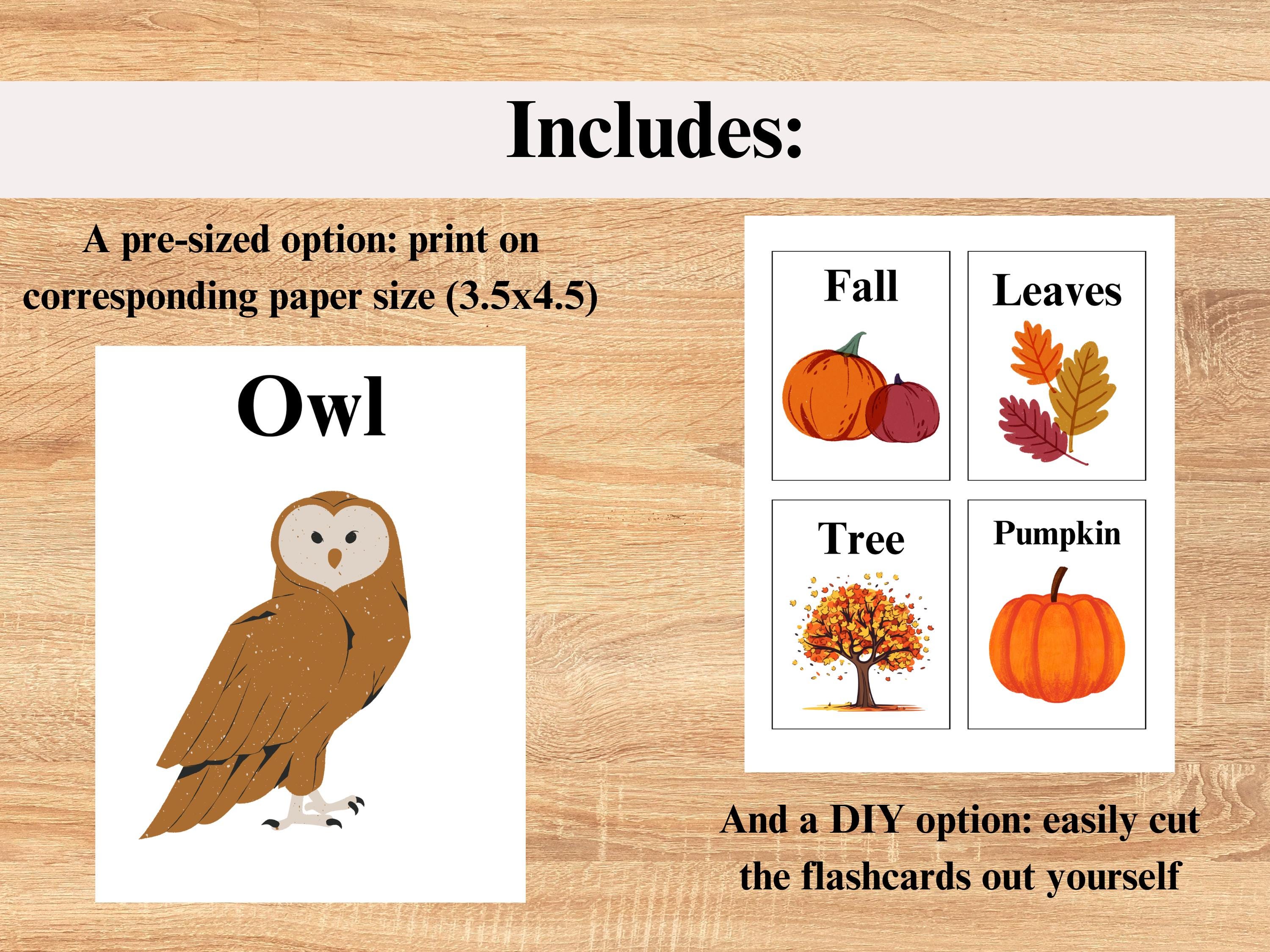 Educational Flashcards Printable Fall Flashcards for Kids Fall Activity ...