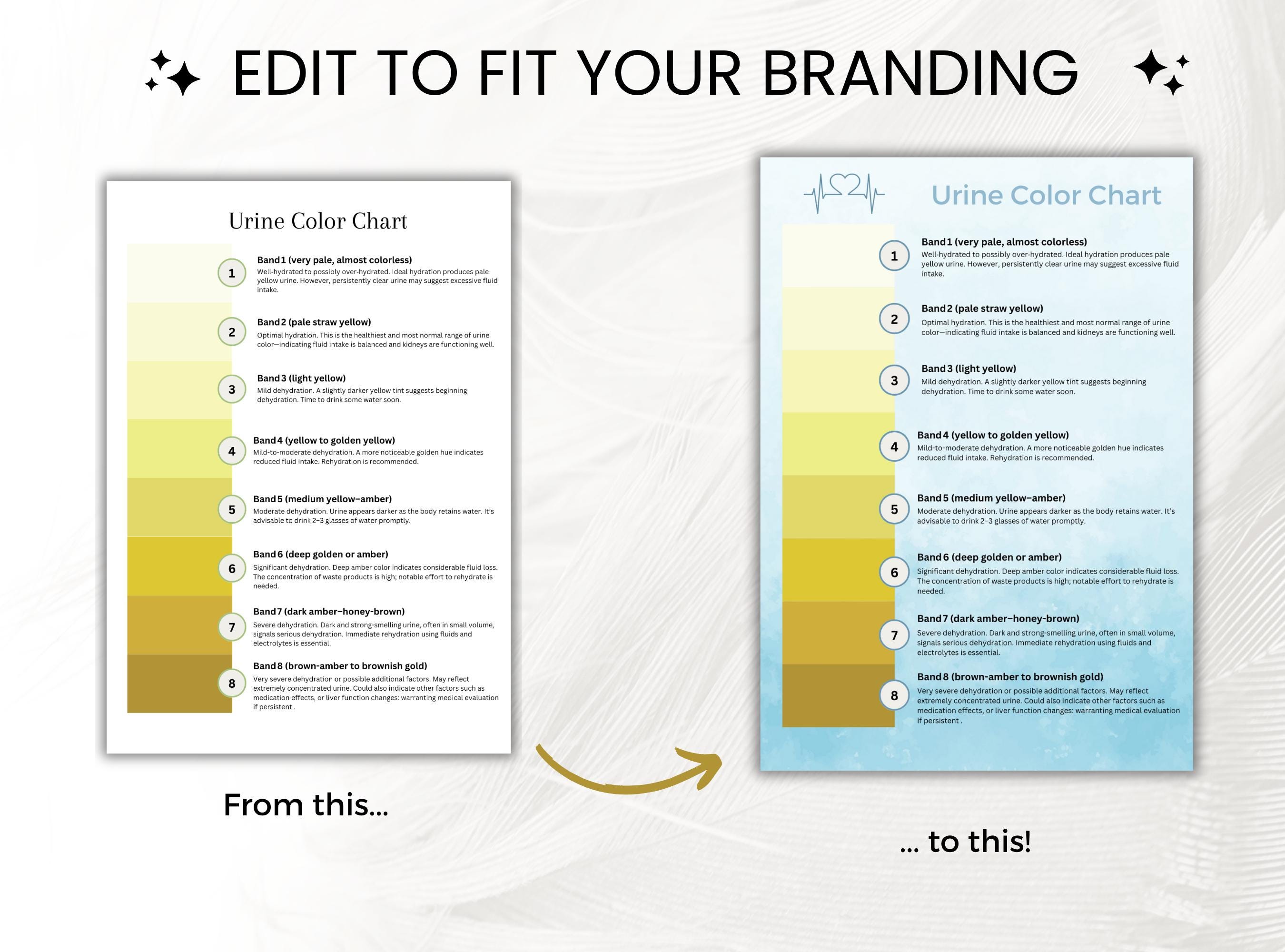 Urine Color Chart: Dehydration Level Guide, Editable Canva Template ...