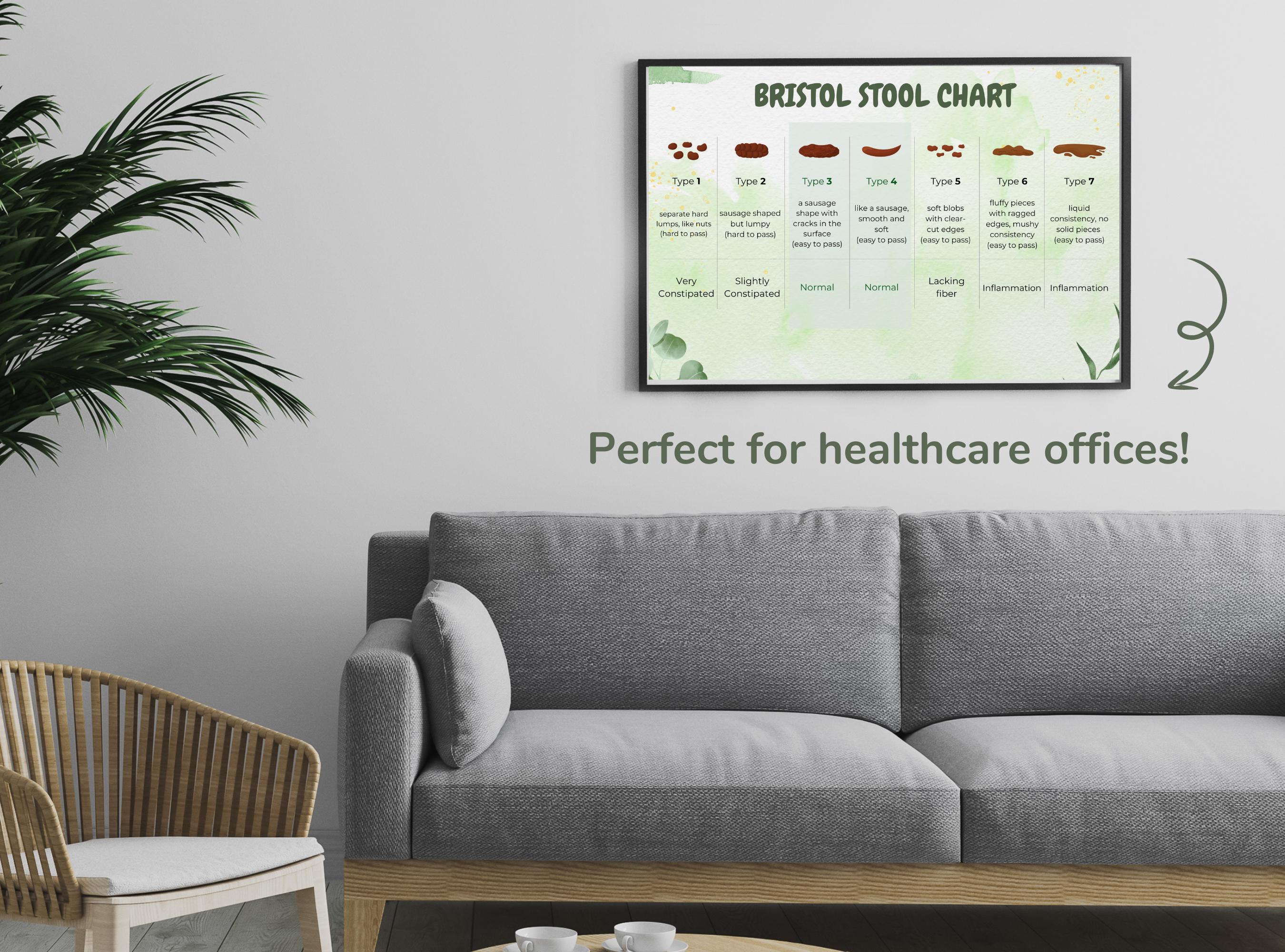 Editable Bristol Stool Chart: Gut Health Poster (PDF) - Etsy