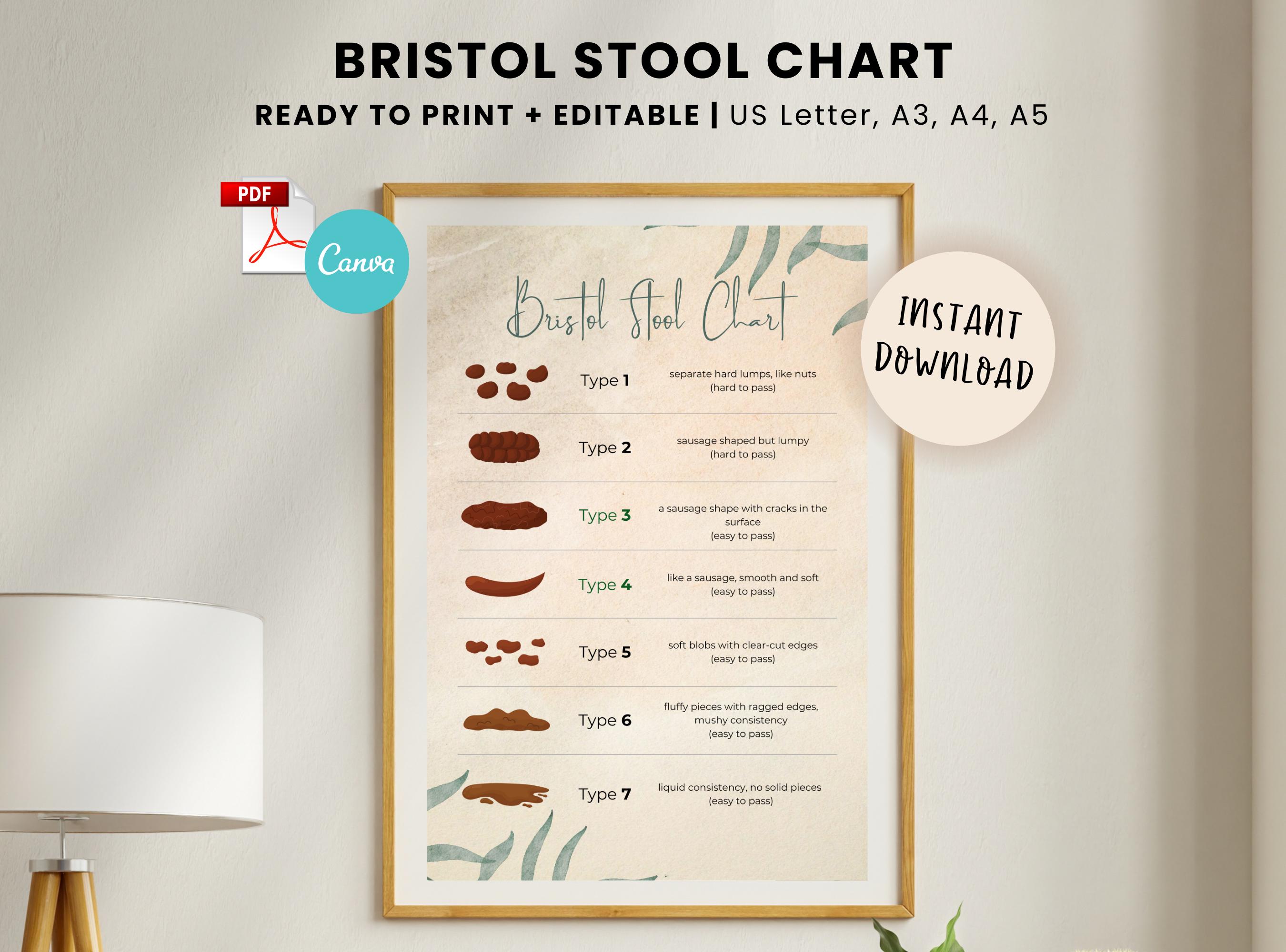 Editable & Printable Bristol Stool Chart, PDF Gut Health Poop Poster ...